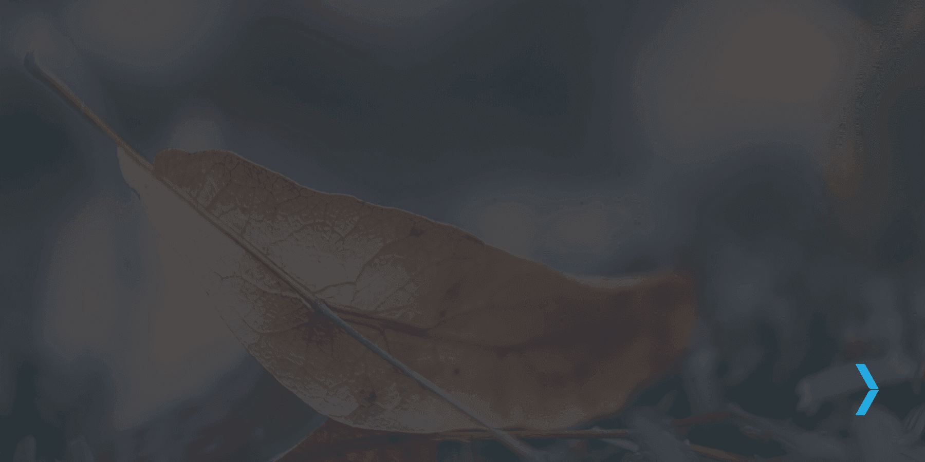 My Prayer - The Crucible